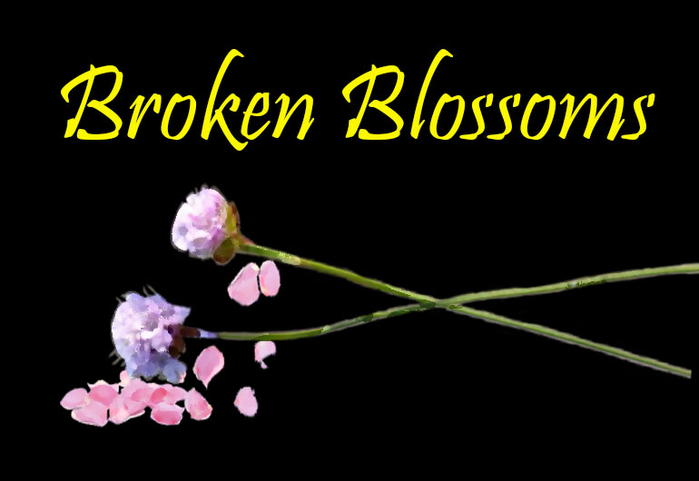 Broken Blossoms (1919) | CasualViewer